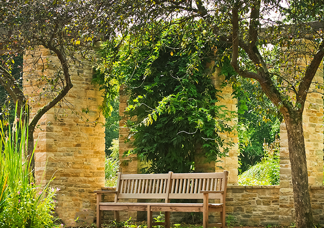 Projects - Susan Bratton